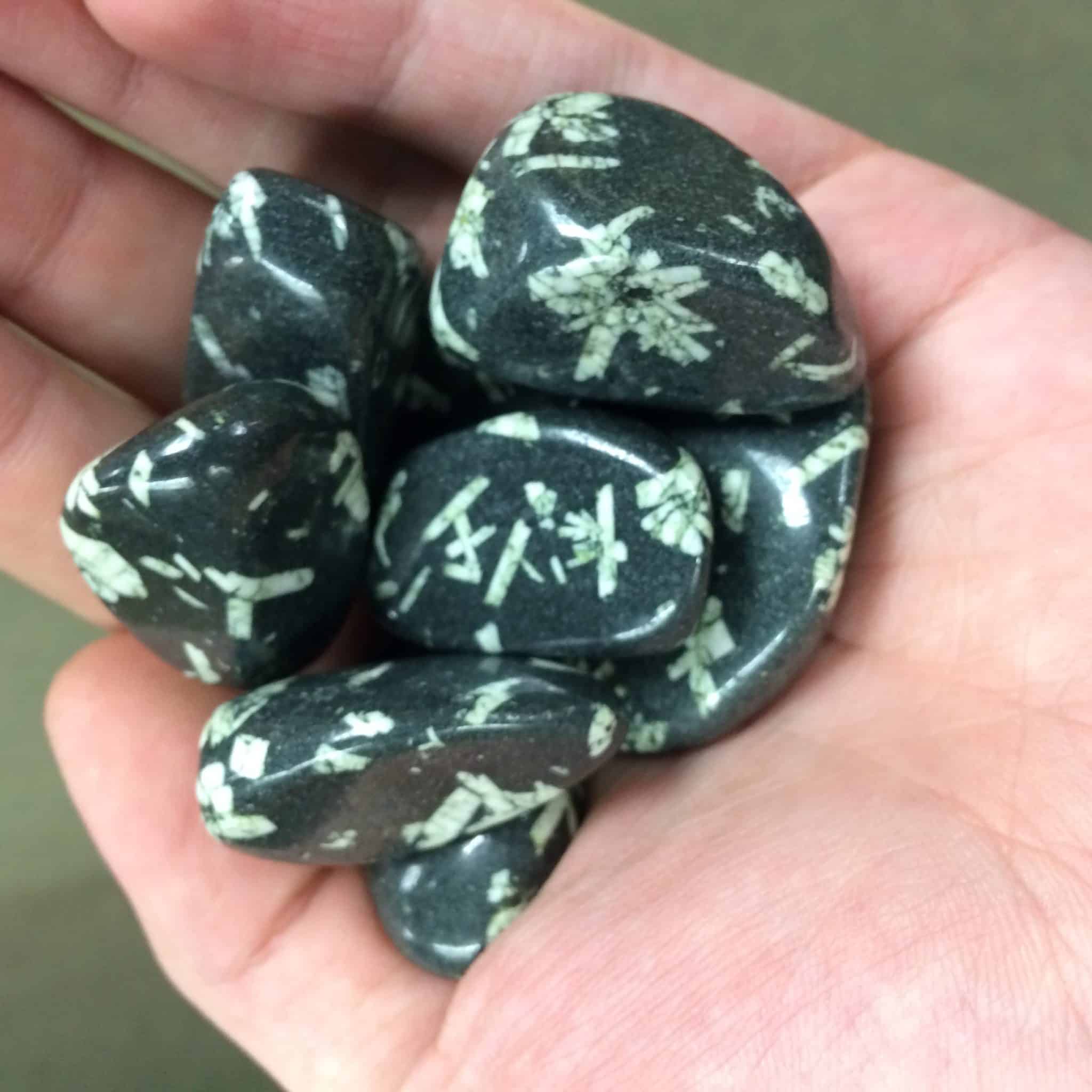 Tumbled Chinese Writing Stone Specimen | Inspirit Crystals